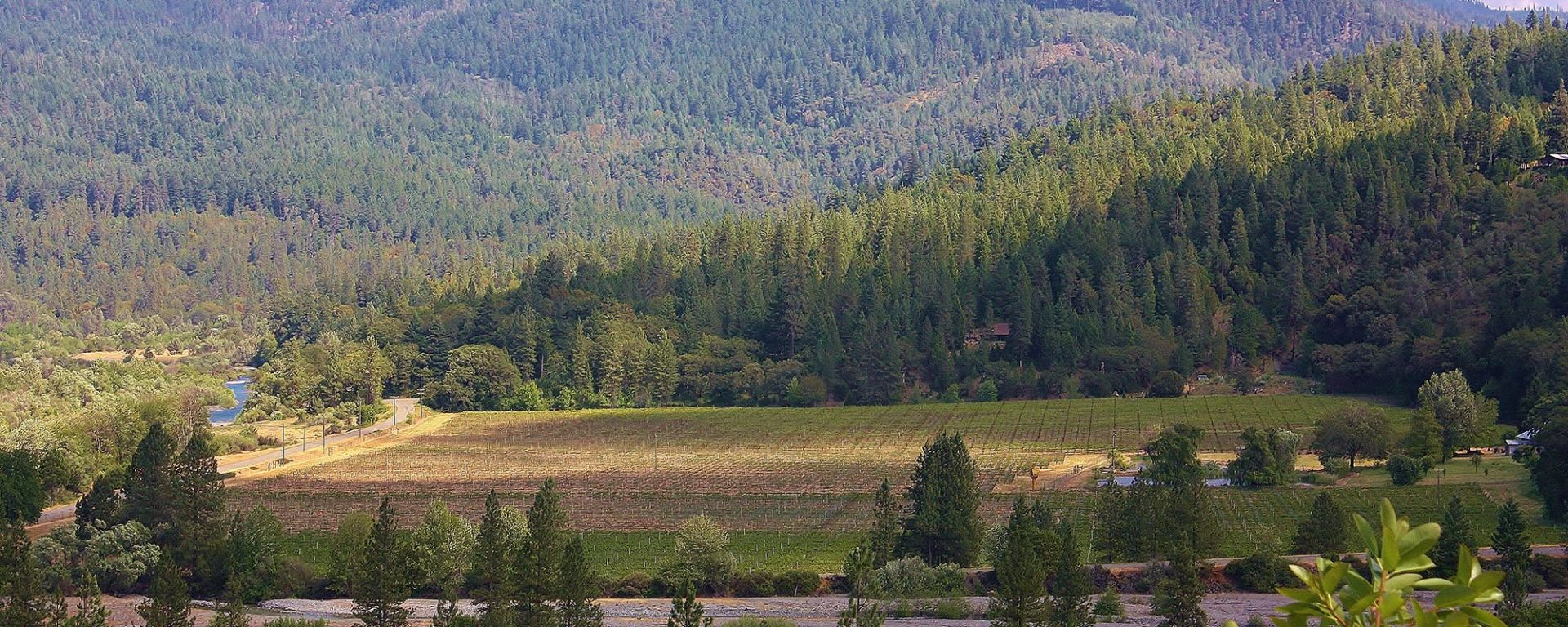 Merlo Family Estate Vineyards & Tasting Room | Trinity County